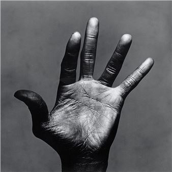 Irving Penn | 2,650 Artworks at Auction | MutualArt