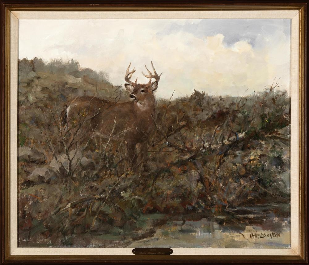 John Loren Head | Deer | MutualArt