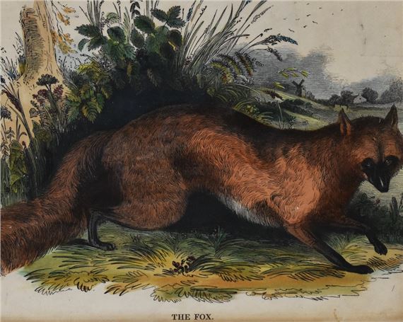 Josiah Wood Whymper | The Fox (Early 20th Century) | MutualArt