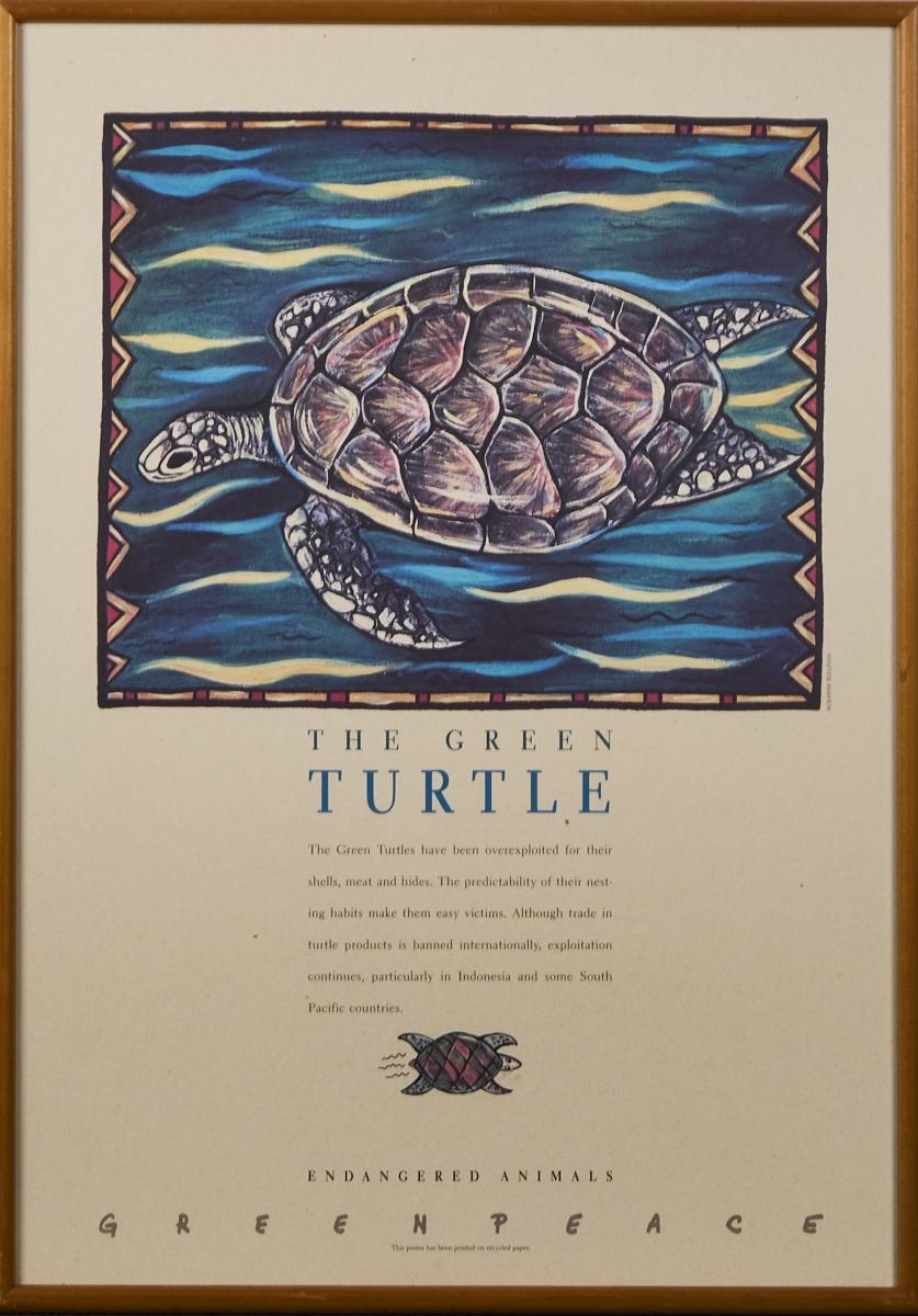 Rosanne Sullivan | A Vintage Greenpeace Endangered Animals Poster 'The ...