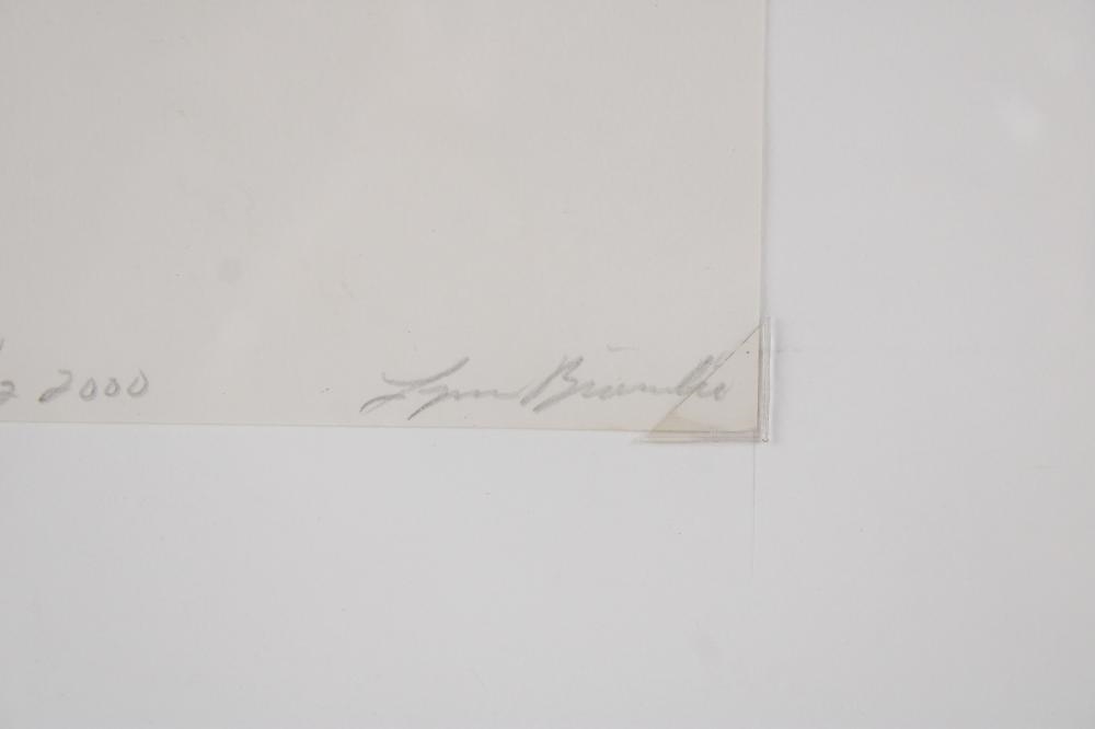 Lynn Bianchi | Lynn Bianchi (2000) | MutualArt
