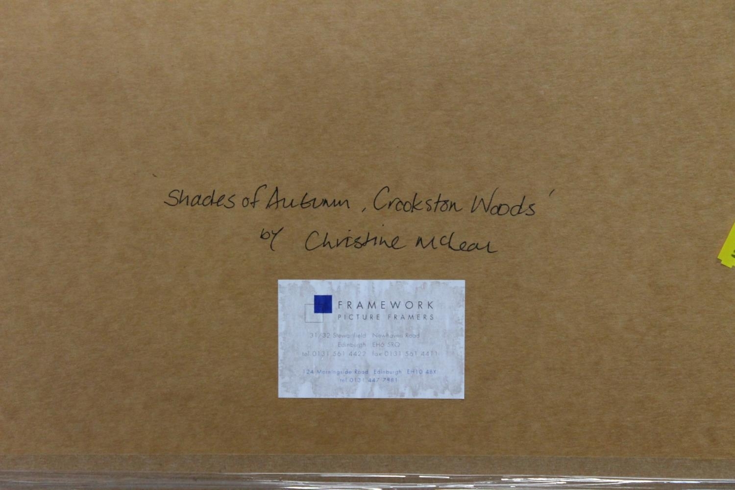 Christine Mclean | Shades of Autumn Crookston Woods | MutualArt