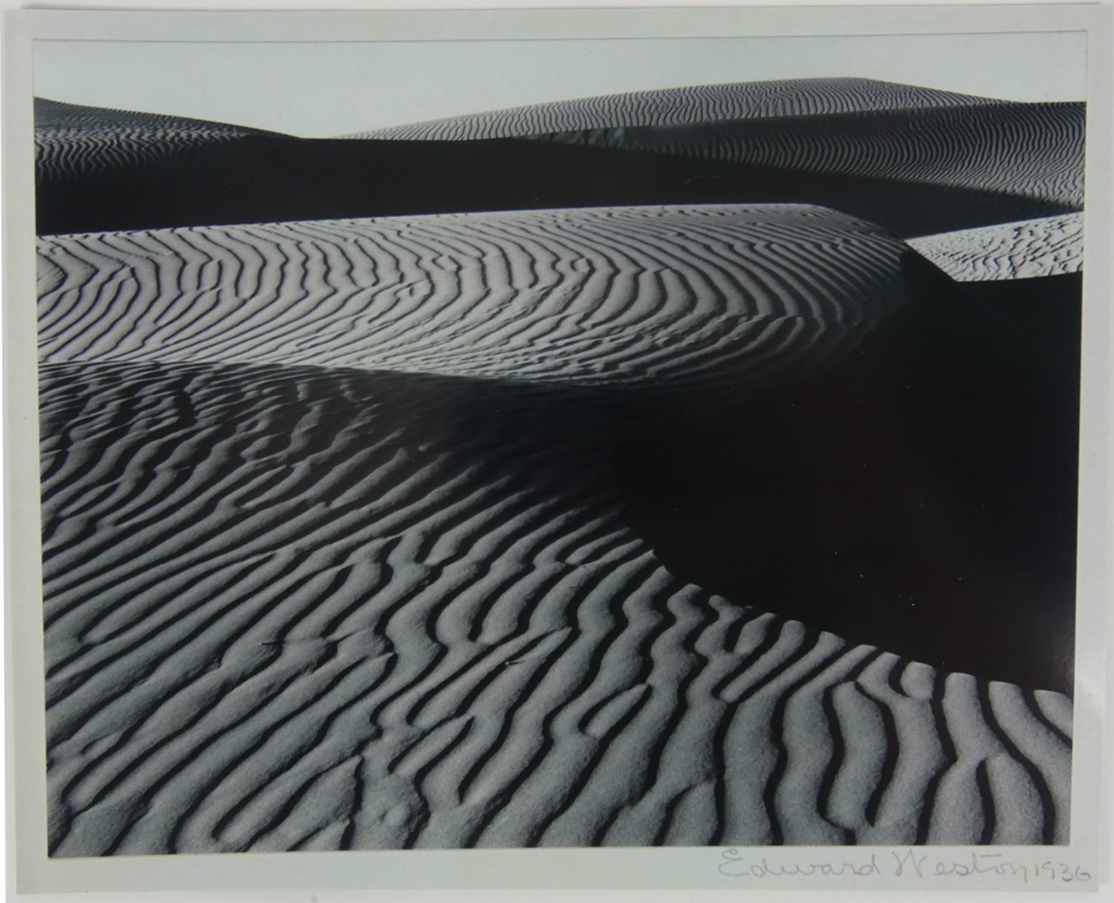 Edward Weston | Nude, Charis Wilson | MutualArt