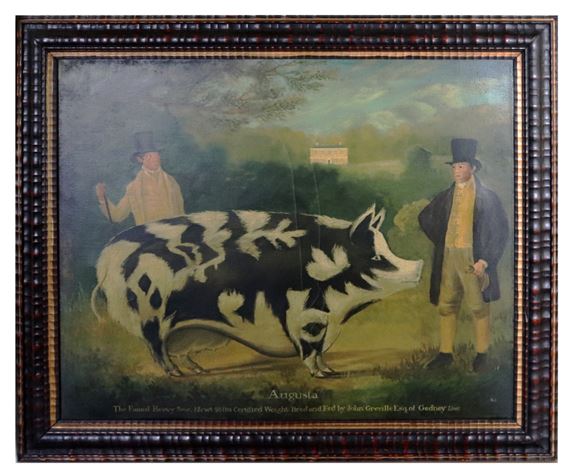 Dan Dunton | Augusta The Famed Heavy Sow 12cwt 56 lbs Certified Weight ...