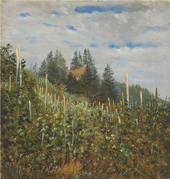 Carl Gustav Carus | Sunny vineyard in Pillnitz (1830 - 1840) | MutualArt