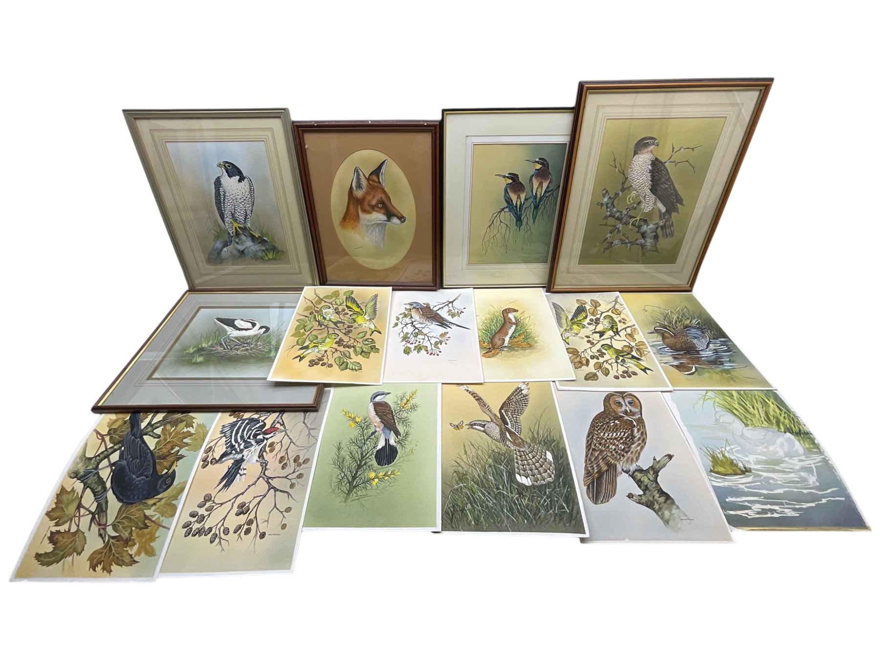 Colin Wilkinson | Animal Scenes | MutualArt