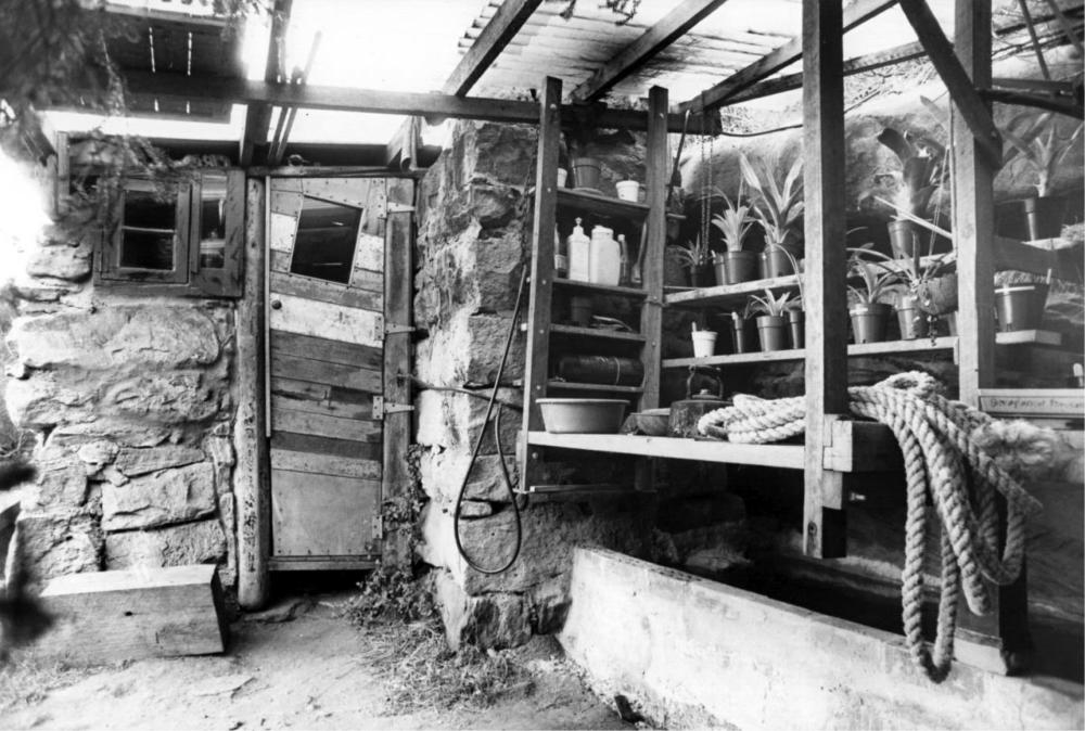 Trevor James Robert Dallen | A squatter hut built in the bush and cliff ...