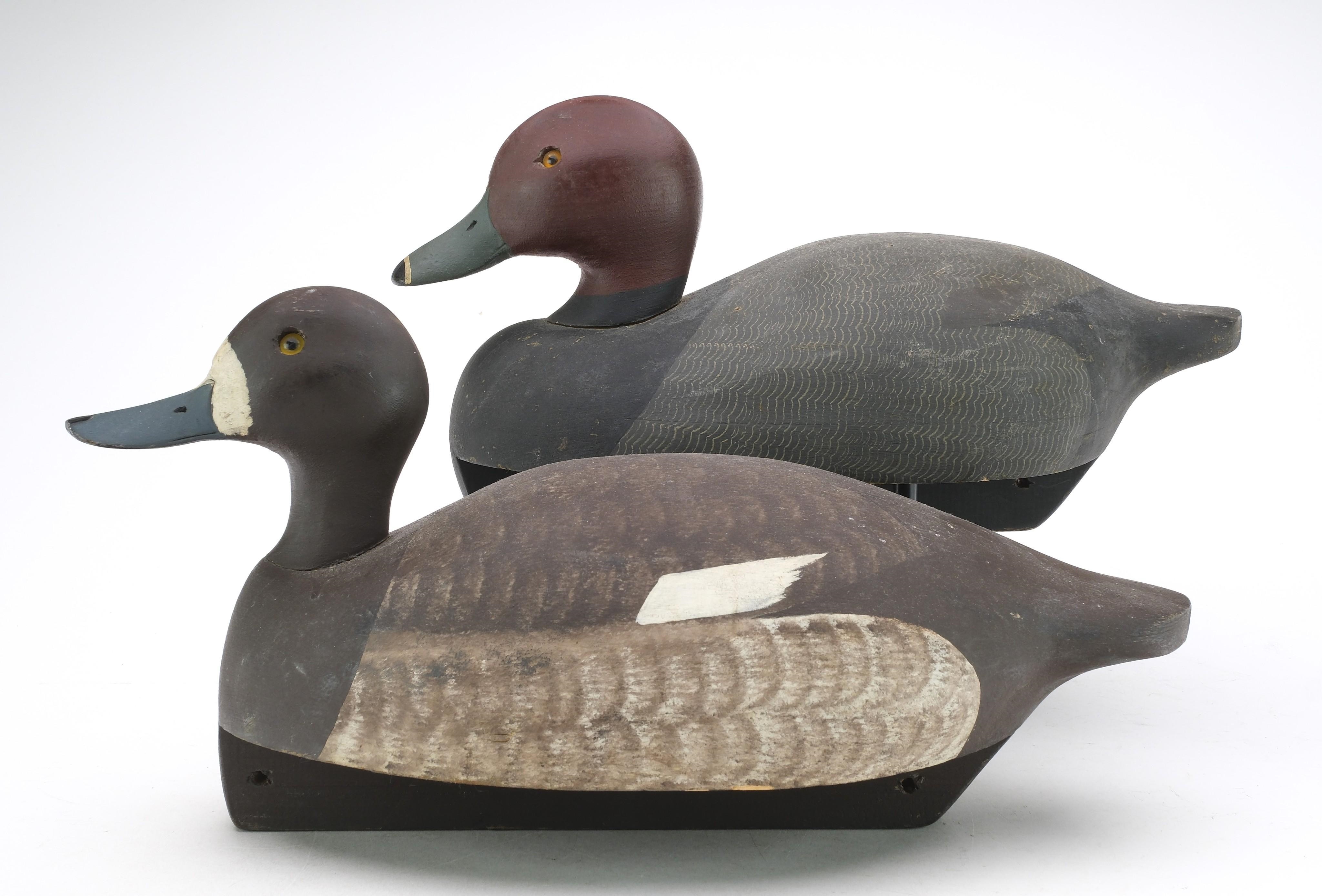 Ken Harris | Drake and hen red heads | MutualArt