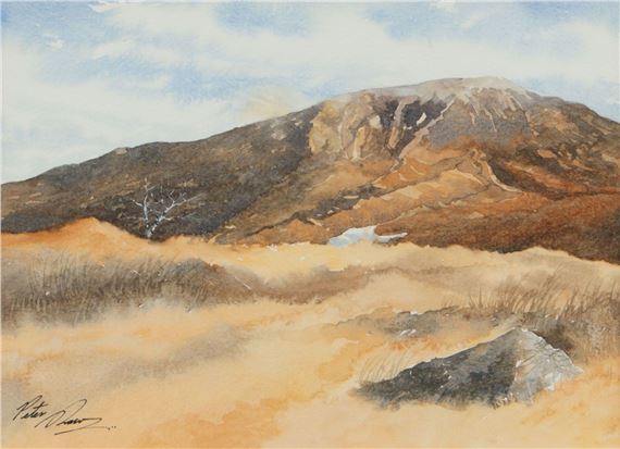 Peter Shaw | IN THE GLENS OF ANTRIM | MutualArt