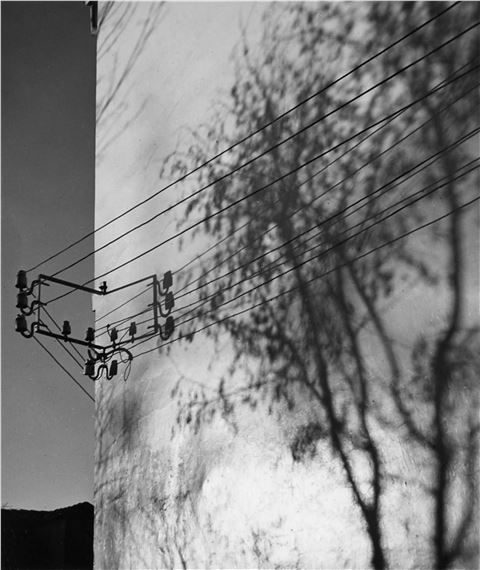 Herbert List | Untitled (Circa 1935) | MutualArt