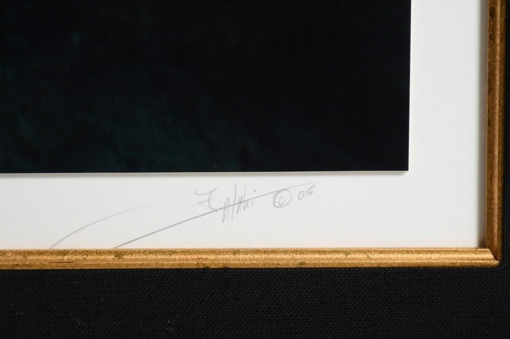 Michael Fatali | MICHAEL FATALI ARTIST PROOF MYSTIC WATERS (2005 ...