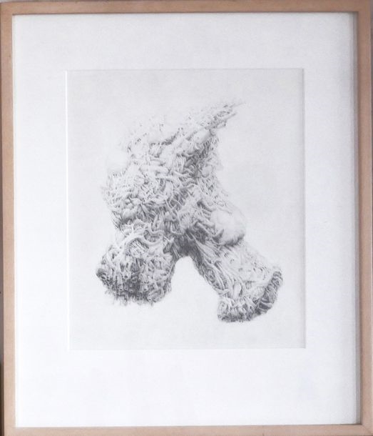 Daniel Zeller | Seed II (1997) | MutualArt