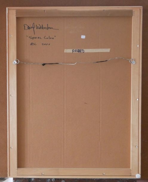 David Webster | Colon Spiral (2000) | MutualArt