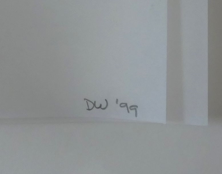 David Webster | Colon Spiral (2000) | MutualArt