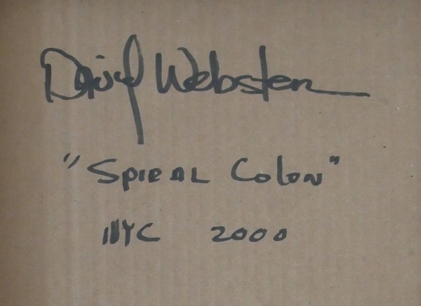 David Webster | Colon Spiral (2000) | MutualArt