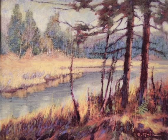 Robert Gall | Biography