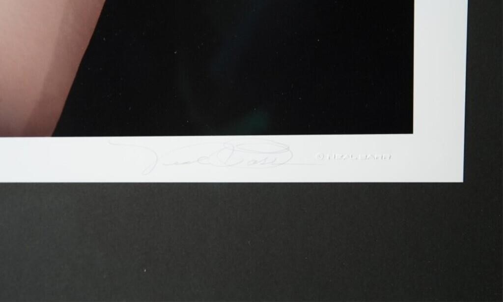 Neal Barr | Neal Barr Large Format 1920's Fashion Photograph (16th ...