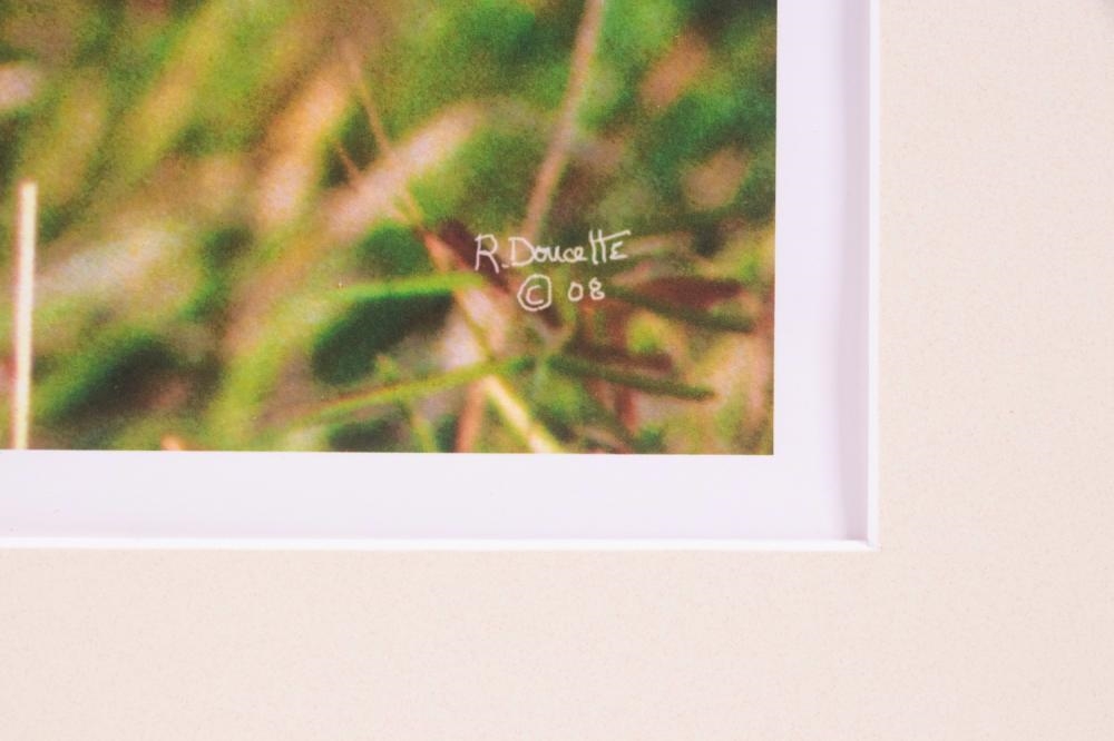 Robert Melburn Doucette | Binti Simba | MutualArt