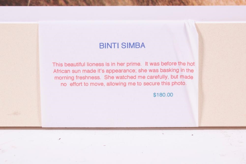 Robert Melburn Doucette | Binti Simba | MutualArt