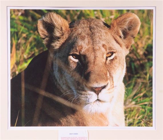 Robert Melburn Doucette | Binti Simba | MutualArt