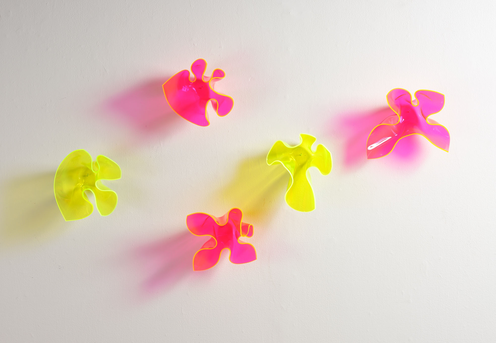 Judy Darragh | Laser Bloom | MutualArt