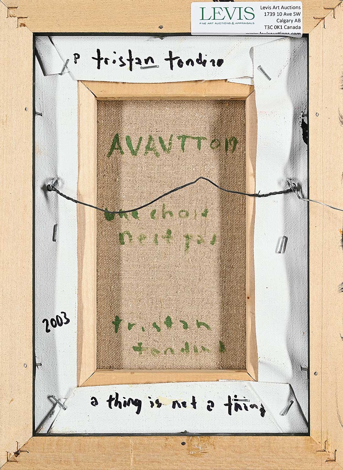 Tristan Tondino | A Thing is Not a Thing (2003) | MutualArt