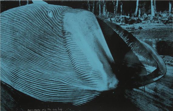 Colin Self | POWER AND BEAUTY NO. 2 (1969) | MutualArt