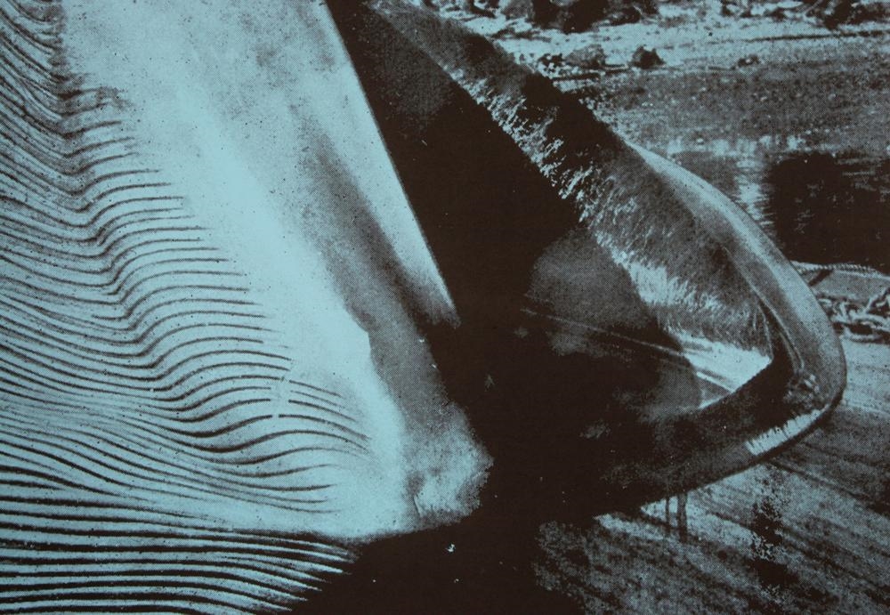 Colin Self | POWER AND BEAUTY NO. 2 (1969) | MutualArt