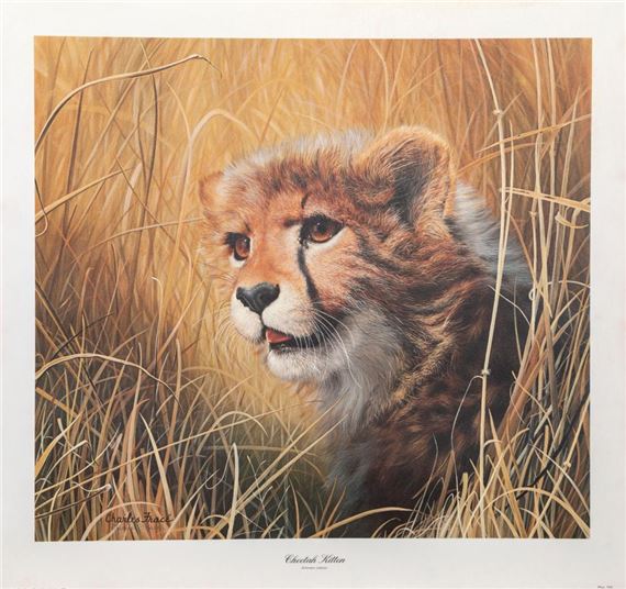 Charles Frace | CHEETAH KITTEN (1974) | MutualArt