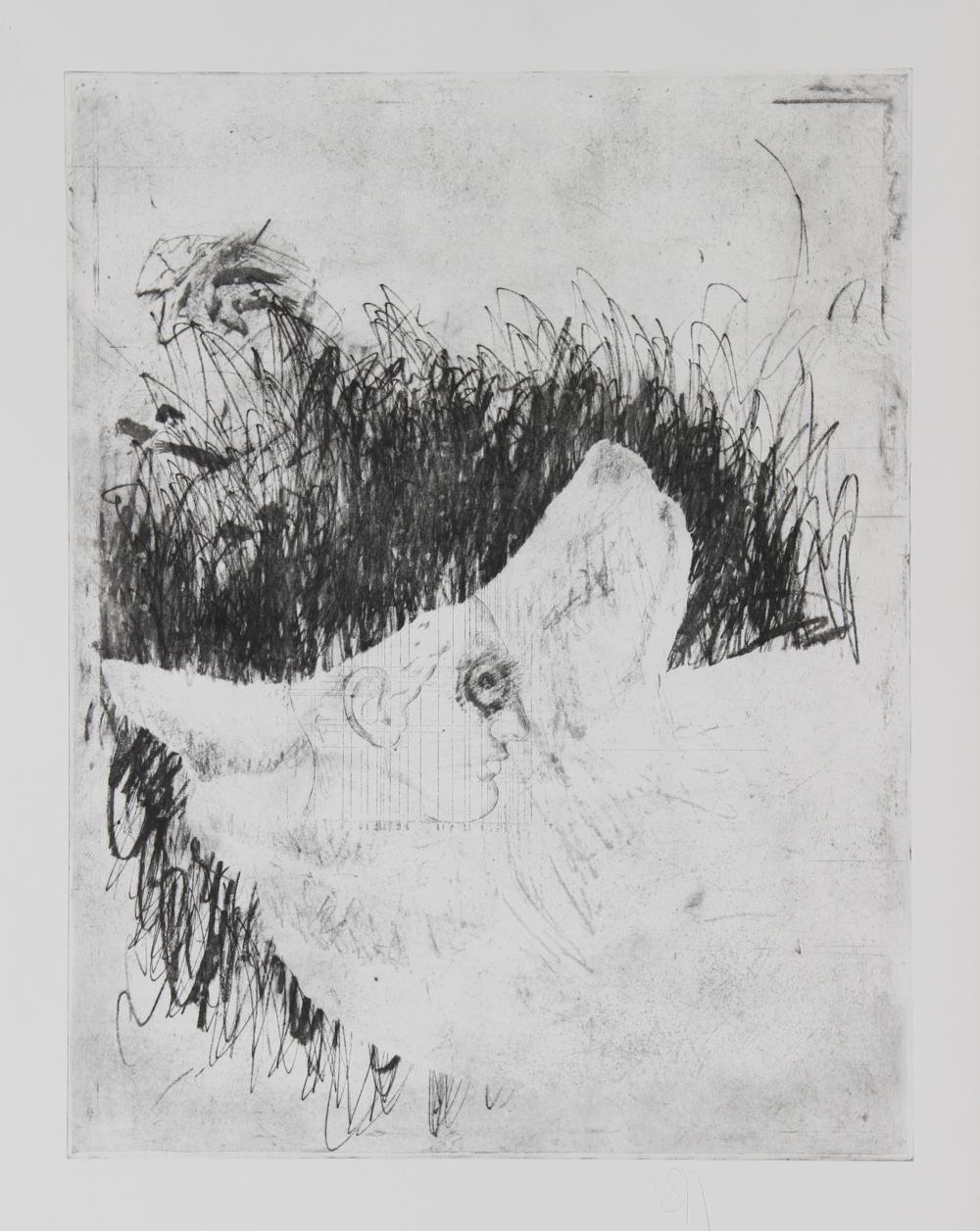 Donald Jay Saff | COYOTE (1980) | MutualArt