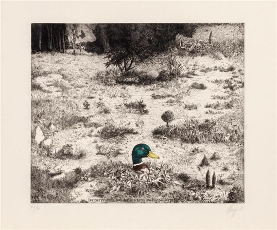 Maurilio Minuzzi | THE DESPERATE LOOK OF A MALLARD IN A PEDESTRIAN ...