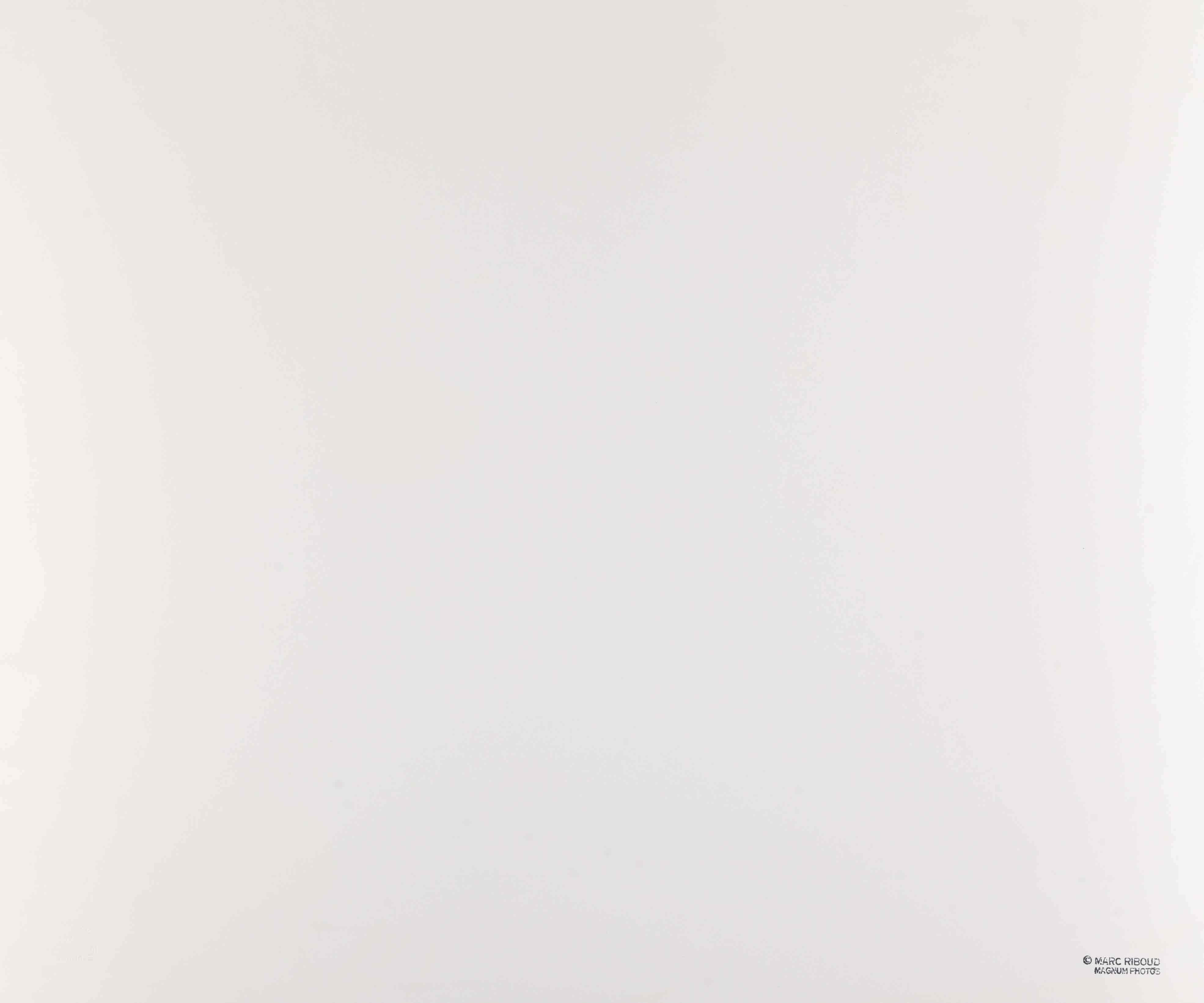 Marc Riboud | March against the Vietnam War | MutualArt