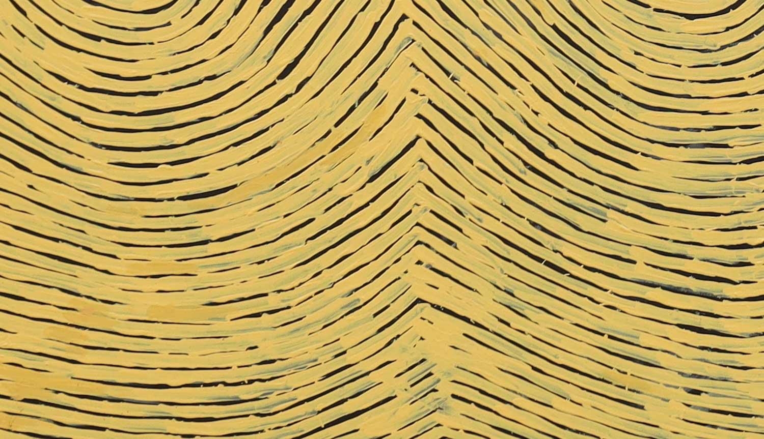 George Hairbrush Tjungurrayi | Tingari (2023) | MutualArt