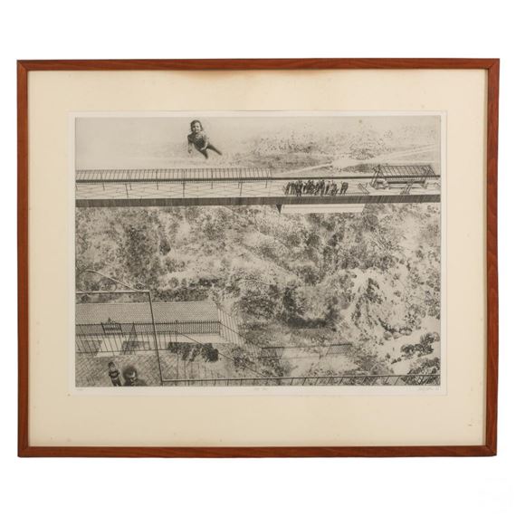 Peter Milton | Free Fall | MutualArt