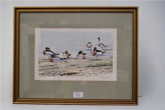Robert Gillmor | A framed signed limited edition print of shelducks ...