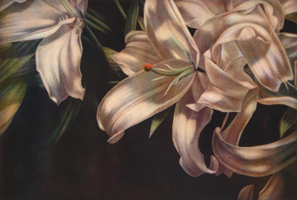 Jason Benjamin | More Than He Could Hold, 2005 (2005) | MutualArt