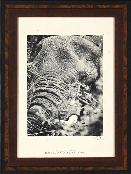 Stuart James Arnold | 1 Artworks at Auction | MutualArt