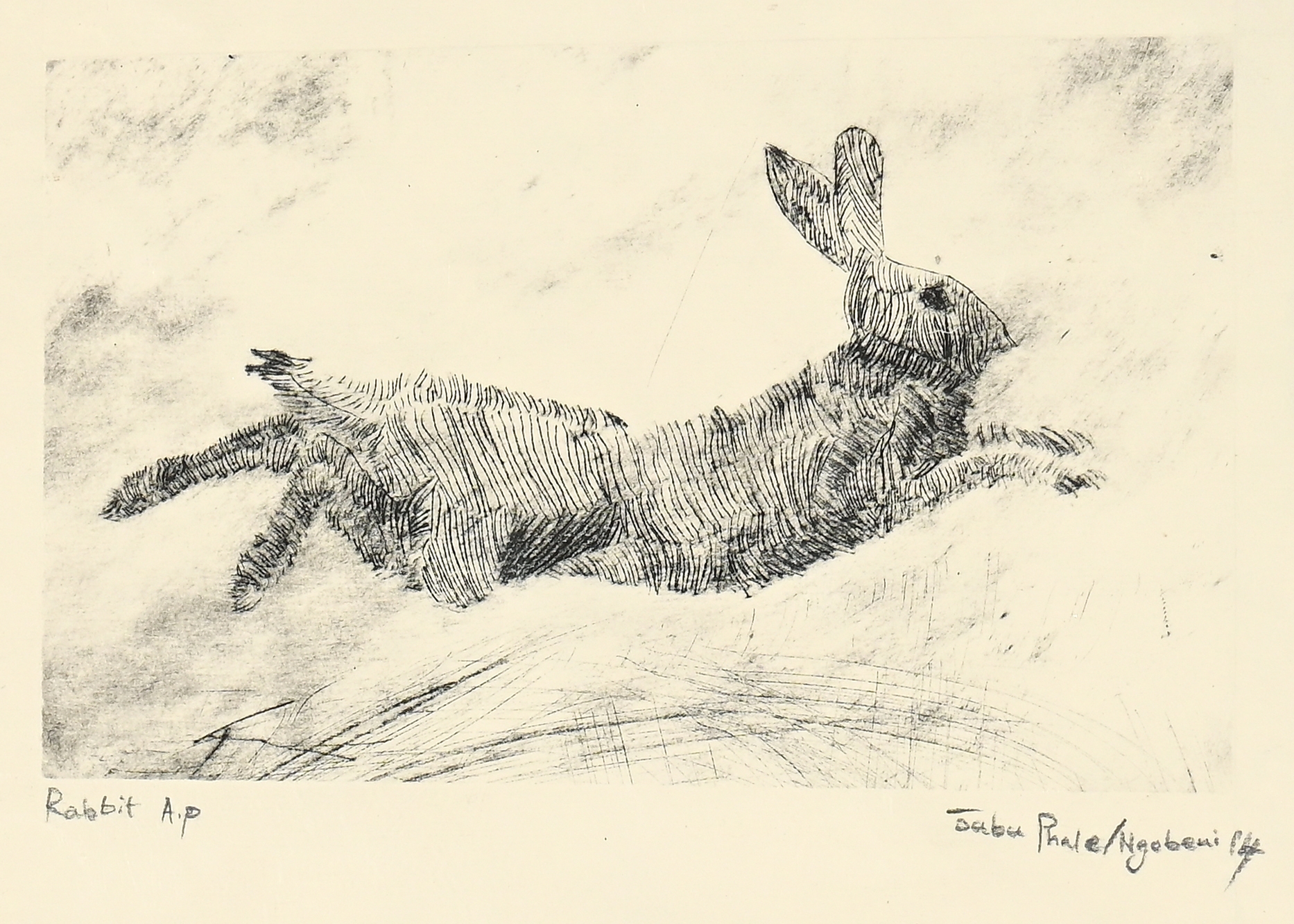 Jabu Phale Ngobeni | Rabbit (2014) | MutualArt
