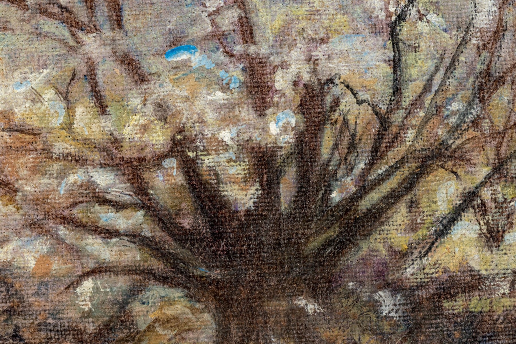 Jane Sutherland | Jane Sutherland (Australian | MutualArt