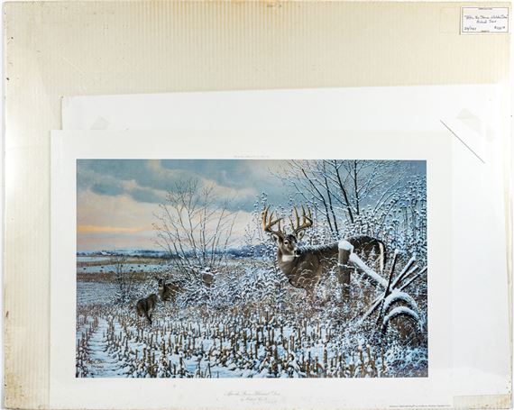 Michael Sieve | After The Storm - Whitetail Deer | MutualArt
