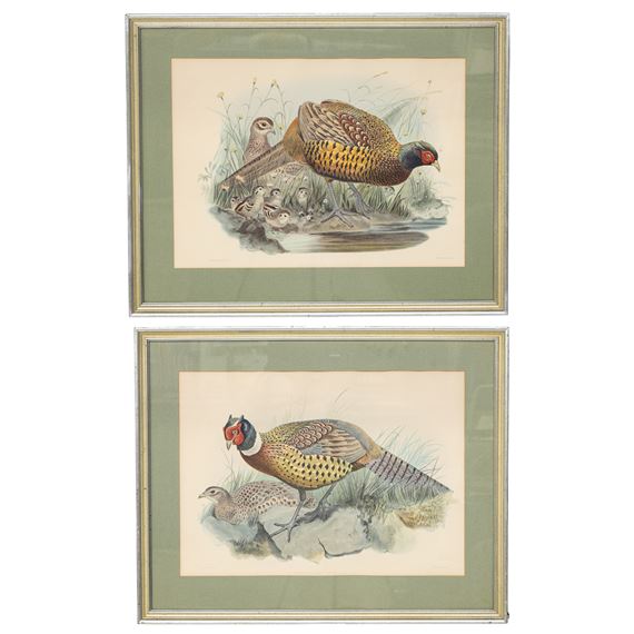 J. Wolf | Vintage J. Wolf and J. Smit Framed Pheasant Colored ...