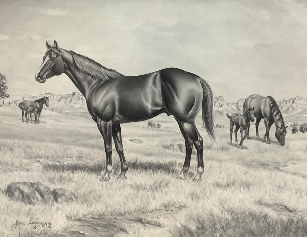 Steve Devenyns | Steve Devenyns Pencil Drawing On Paper | MutualArt