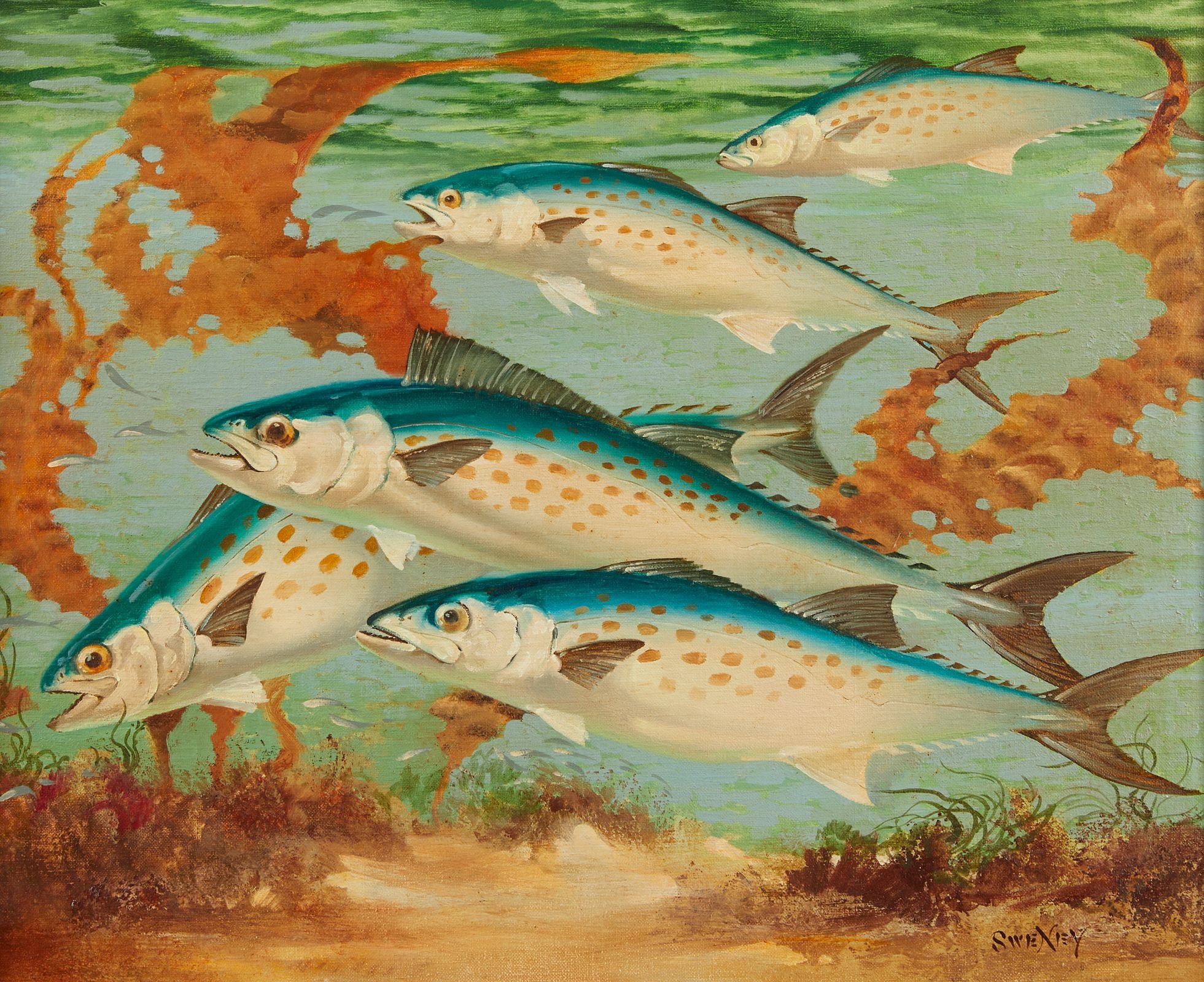 Fred Sweney | Fred Sweney Mackerel Oil Painting | MutualArt