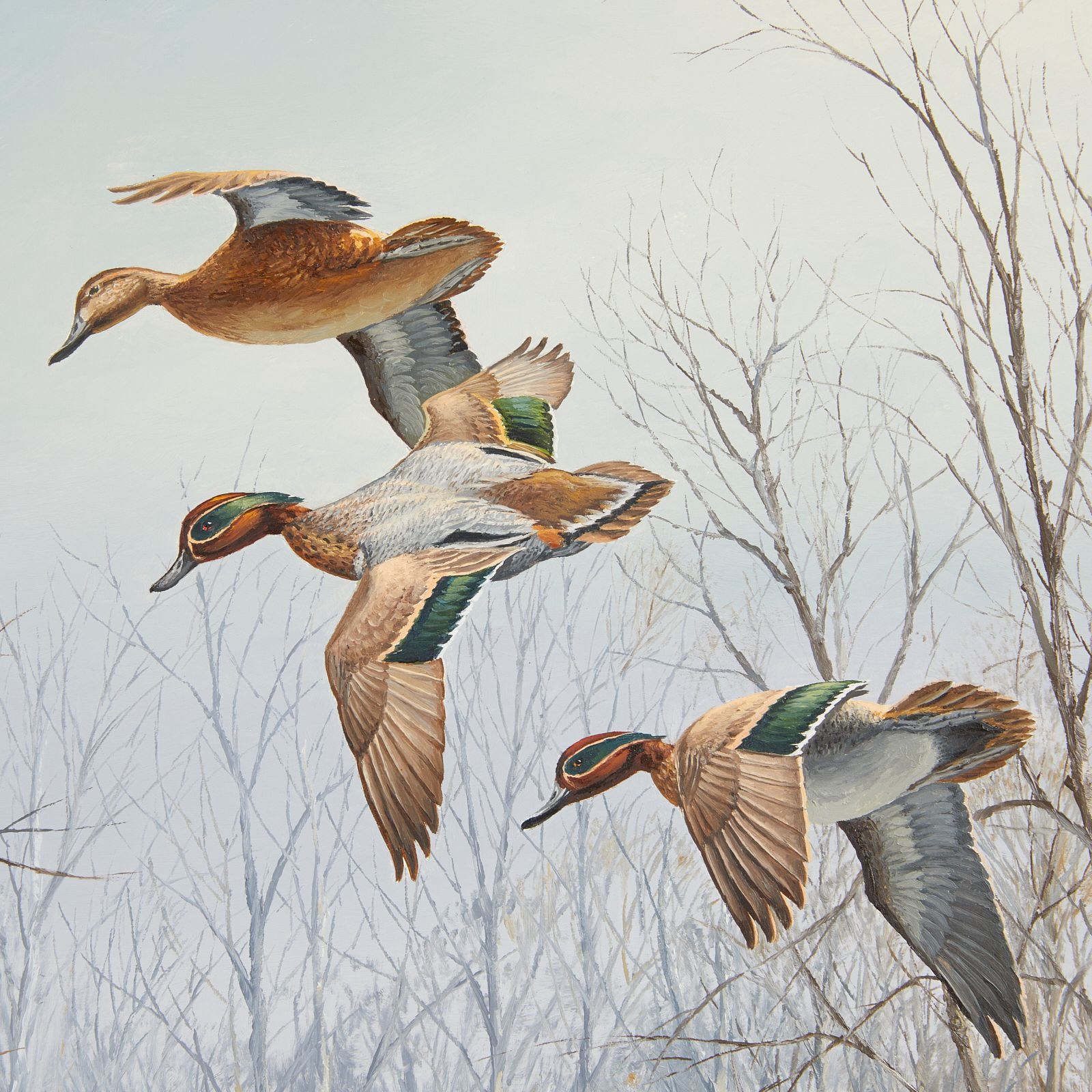 David Maass | David Maass Green-Winged Teal Oil Painting (1938) | MutualArt