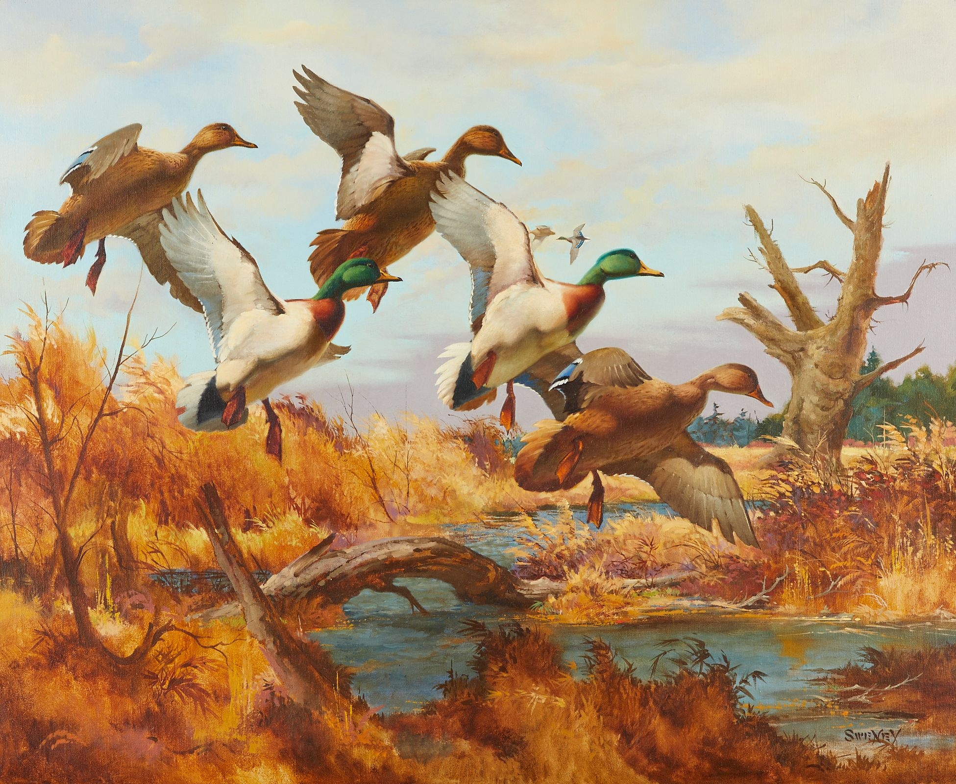 Fred Sweney | Fred Sweney Mallards Oil on Canvas Painting | MutualArt