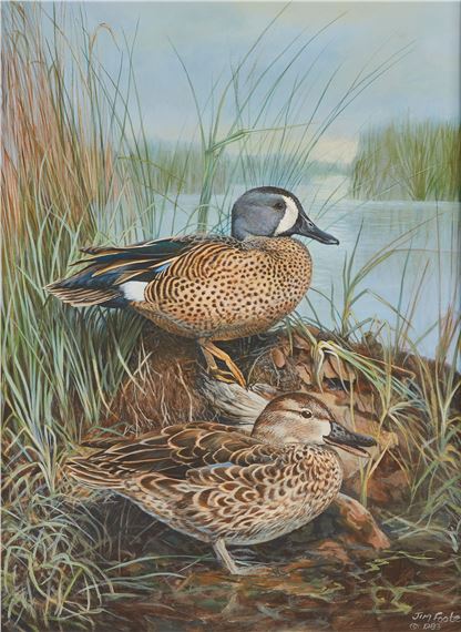 Jim Foote | Jim Foote Blue-Winged Teal Oil Painting (1983) | MutualArt