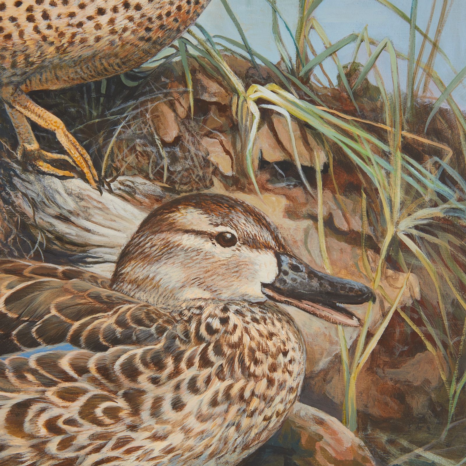 Jim Foote | Jim Foote Blue-Winged Teal Oil Painting (1983) | MutualArt
