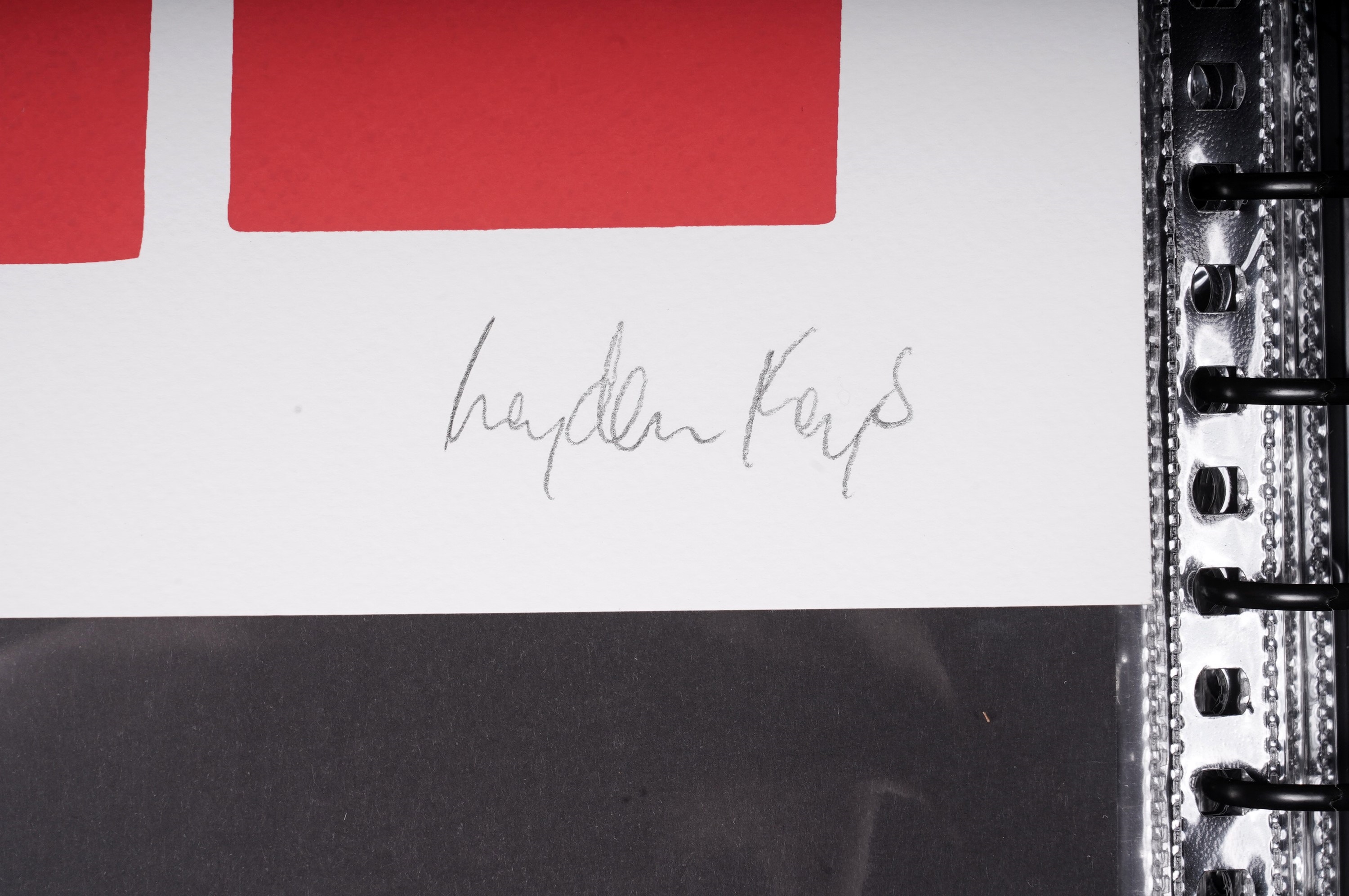 Hayden Kays | Vote | MutualArt