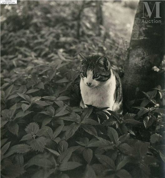 Patrick Matthews | 1 Artworks | MutualArt