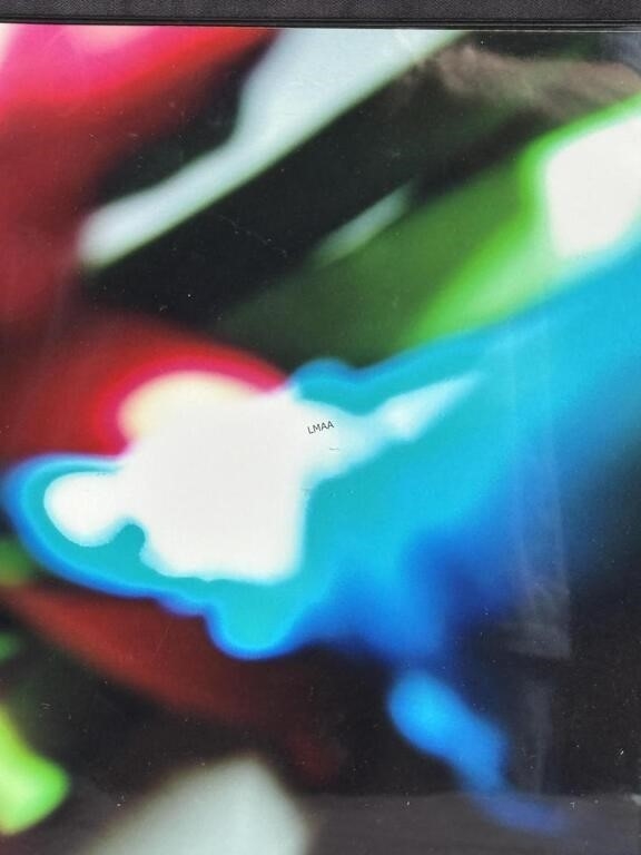 Lester Marks | TRIPTIC BY LESTER MARKS 2017 (2017) | MutualArt